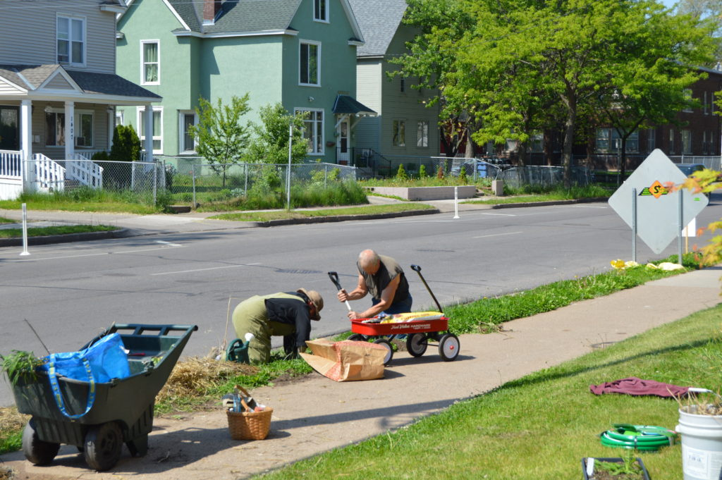boulevardplanting | the alley Newspaper