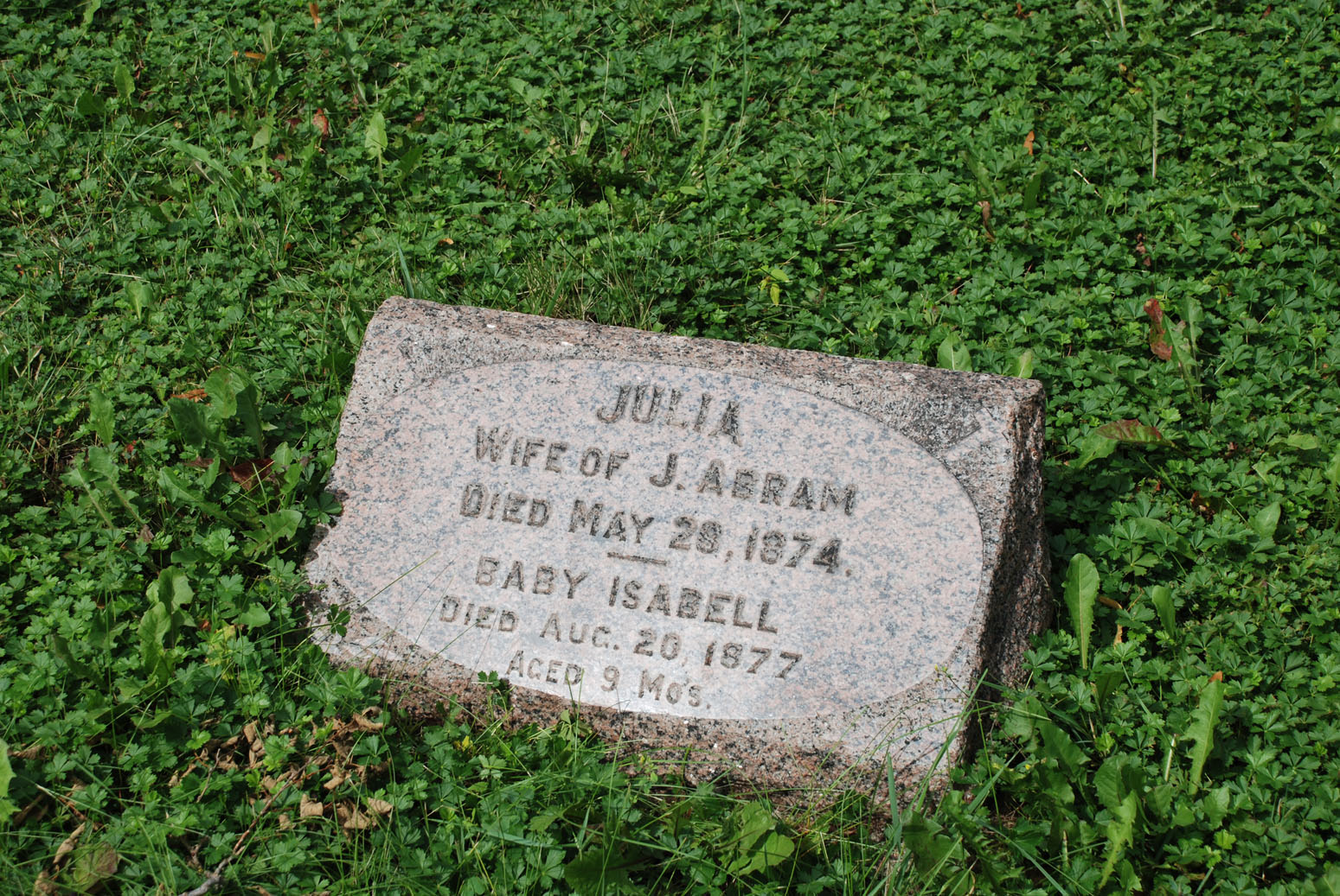 Tales from Pioneers and Soldiers Memorial Cemetery: Public Health ...
